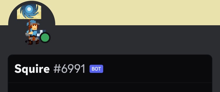 Qwasar Students Build Discord Bot ‘Squire’ to Add to Custom-built ...
